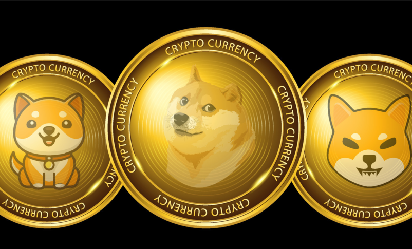 An Essential Guide to the Meme Coins - News Anyway