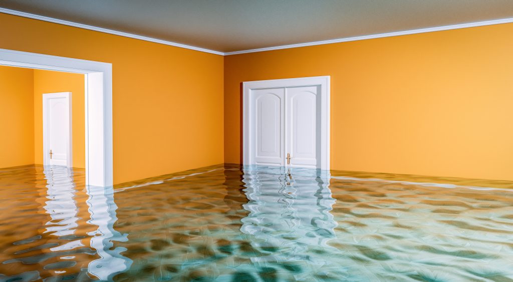 Water Damage Restoration Timeline for Maryland Homes
